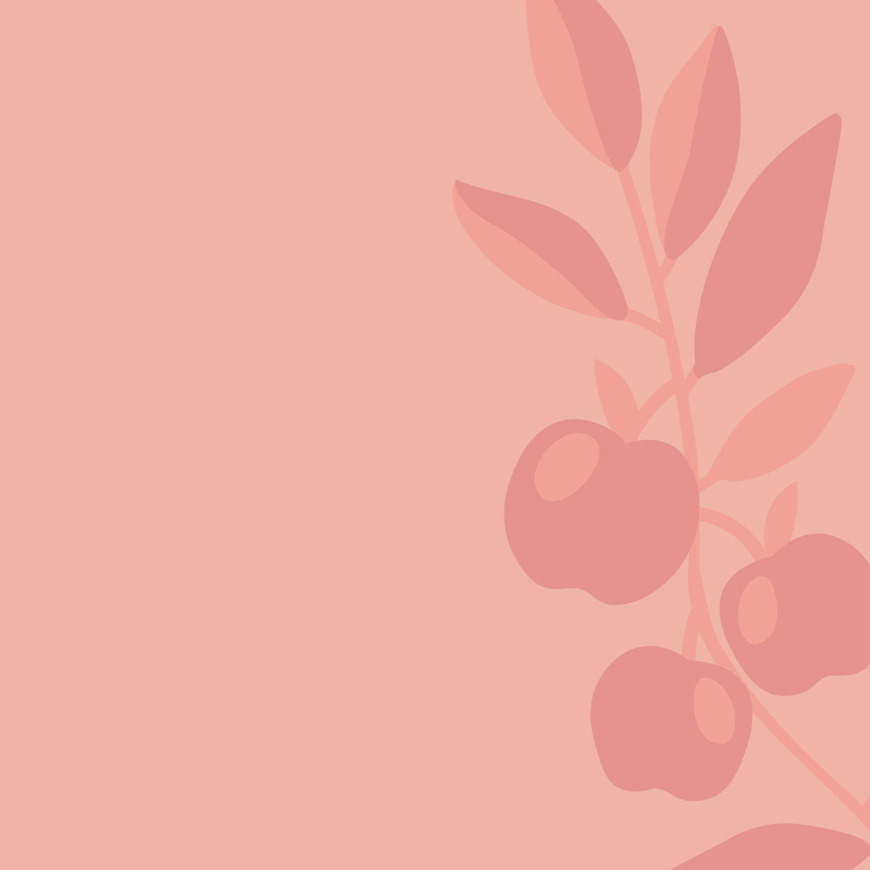 Apple Cider Vinegar And Aloe Archives Renpure